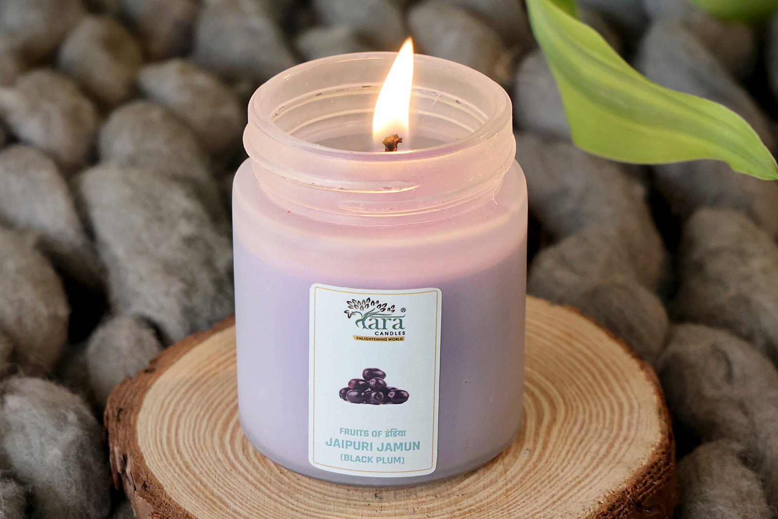 Jaipuri Jamun Frosted Glass Jar With Wooden Lid Dust Cover - Tara Candles